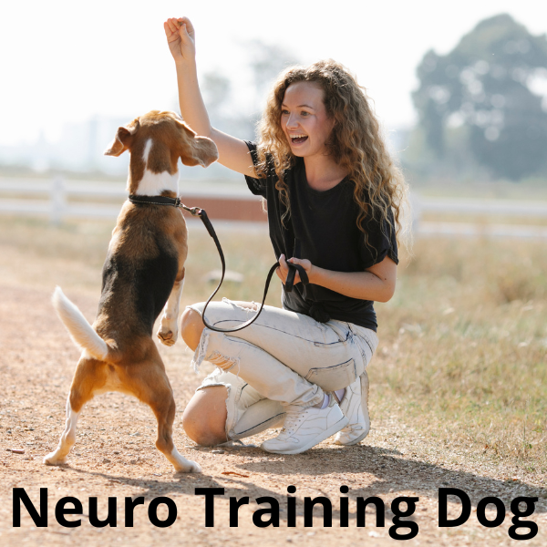 Neuro Training Dog - ONE MARKET EDUCATION S.A.S. | Hotmart