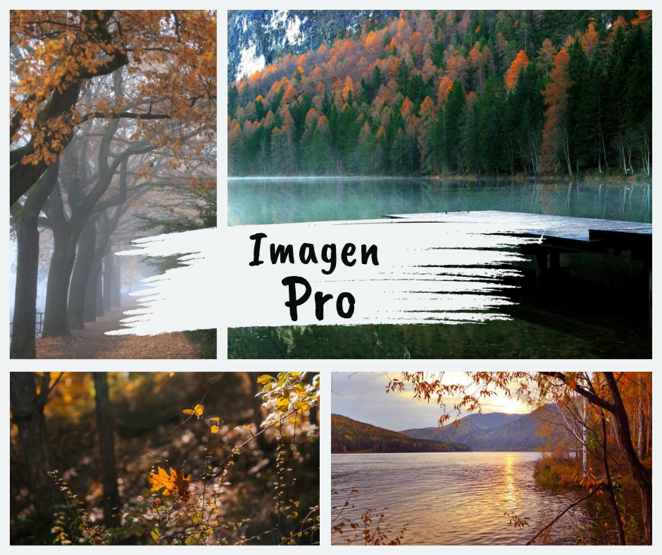 Imagen Pro - CID-BKA LIMITED | Hotmart