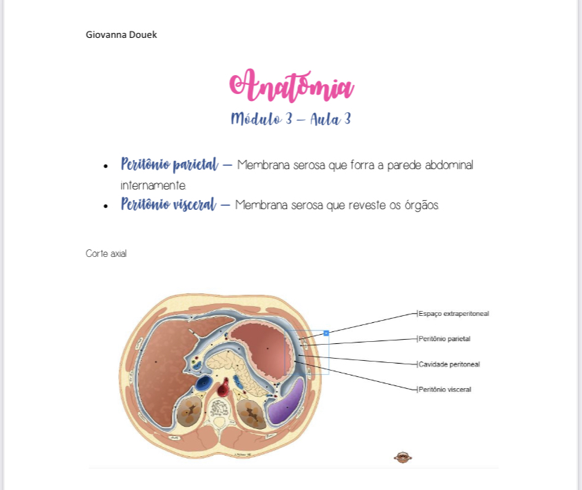Resumo Anatomia - Sistema Digestório - Peritônio, vesícula biliar e...