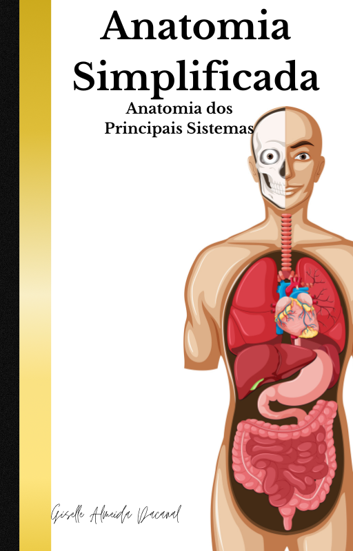Anatomía Simplificada Amazon.com: Anatomy Of The Organs QuickStudy