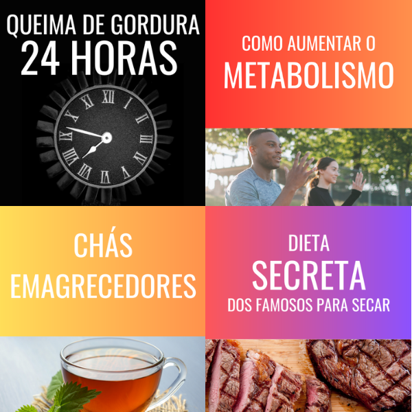 Combo 4 E-books - PPS RECEITAS | Hotmart