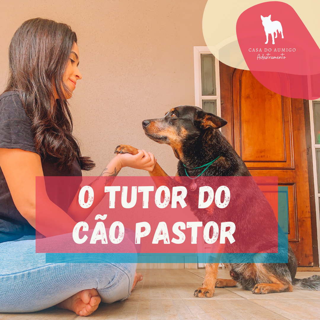 O tutor do cão Pastor - Quéren Ribeiro | Hotmart
