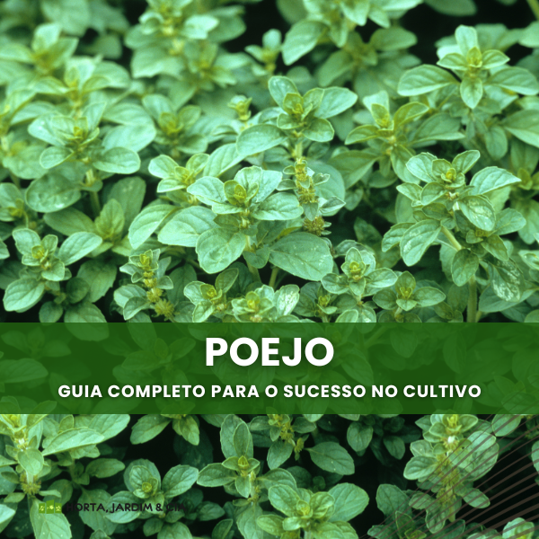 Cultive Poejo como um Profissional: Dicas e Truques Revelados - Hor...