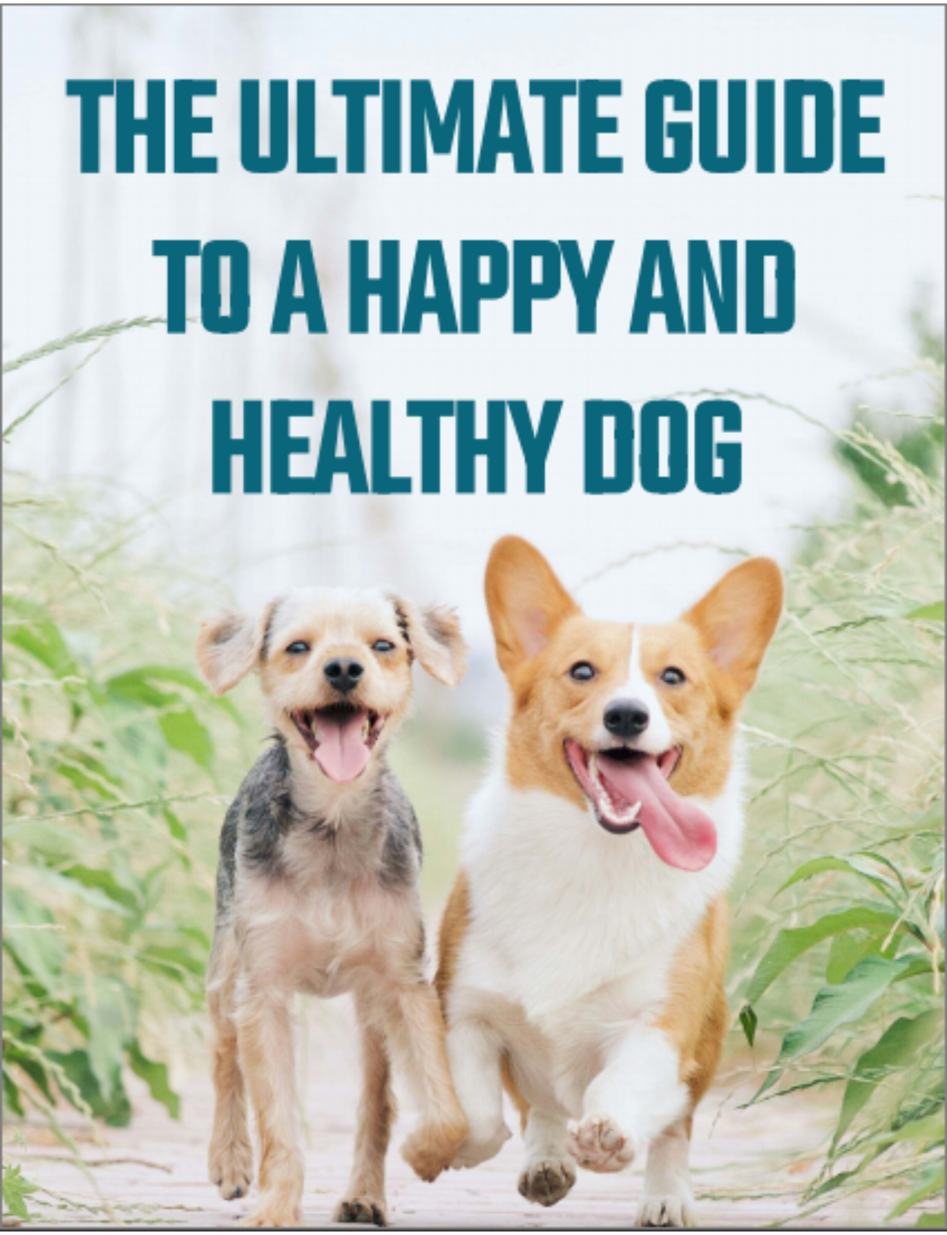 THE ULTIMATE GUIDE TO A HAPPY AND HEALTHY DOG