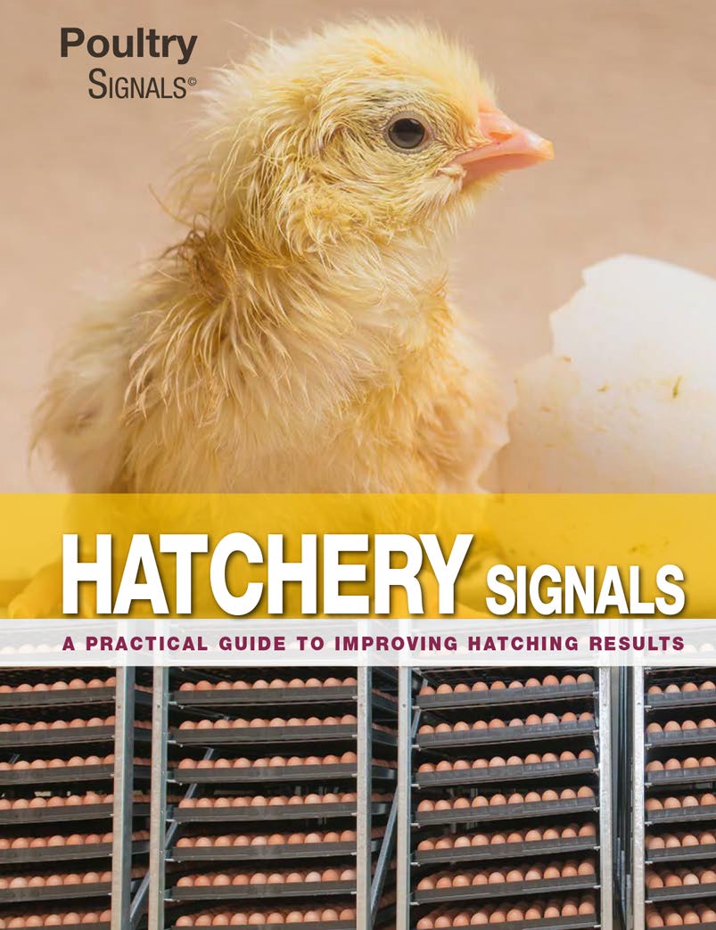 Hatchery Signals (English edition) A practical guide to improving ...