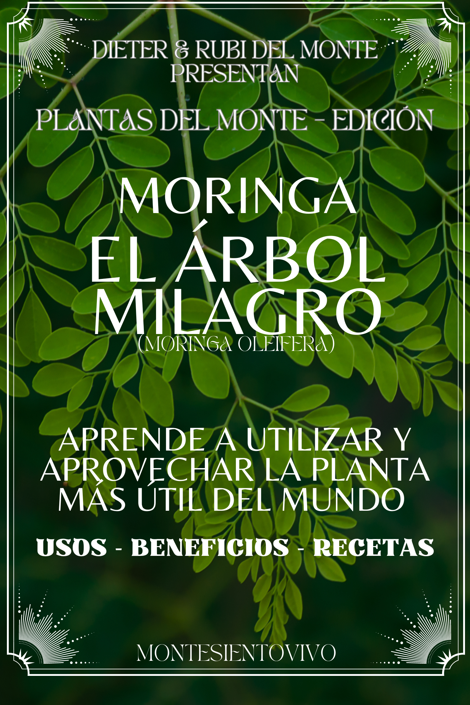 Moringa el árbol milagro - Guía completa - Monte Siento Vivo | H...