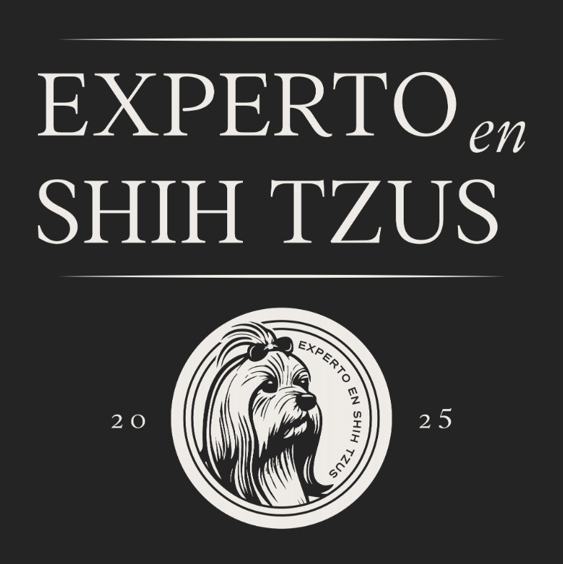 Experto en Shih Tzus