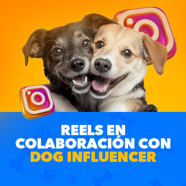 Reels en Colaboración con Dog Influencer - Digital | Hotmart