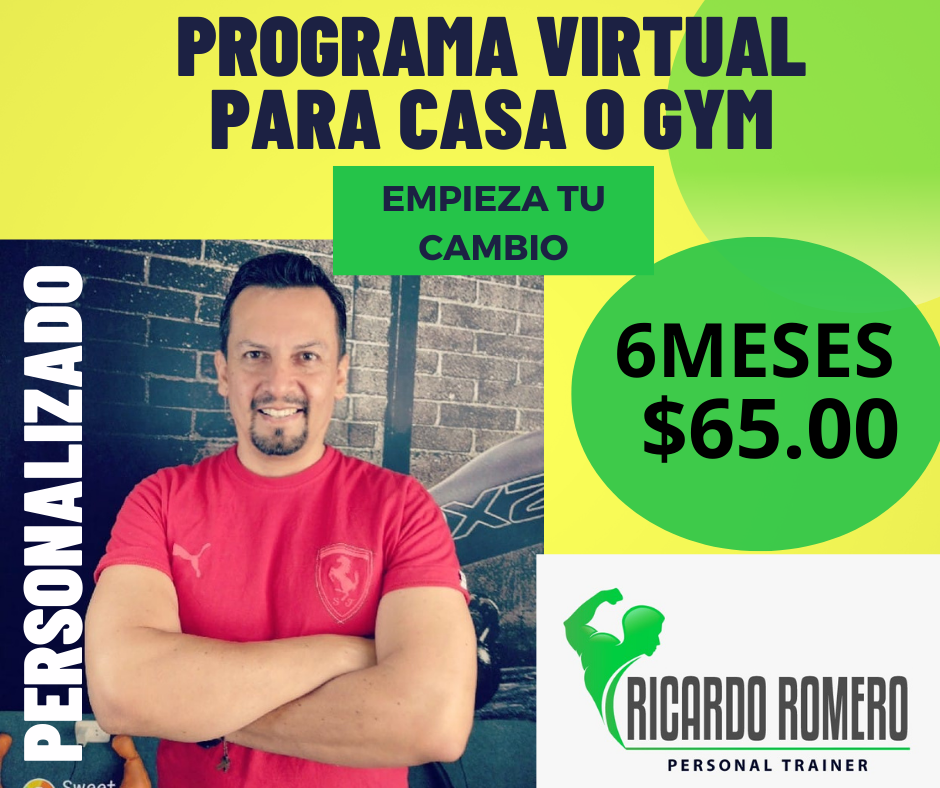PROGRAMA VIRTUAL 6 MESES - Ricardo Romero Pacheco | Hotmart