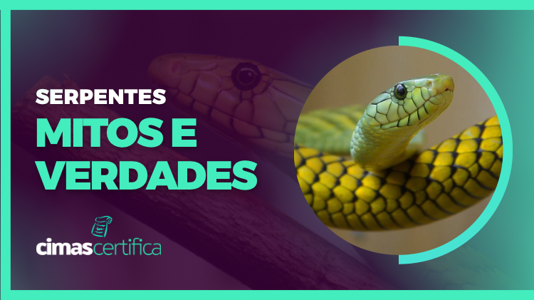 Serpentes: Mitos, Verdades e Primeiros Socorros EAD