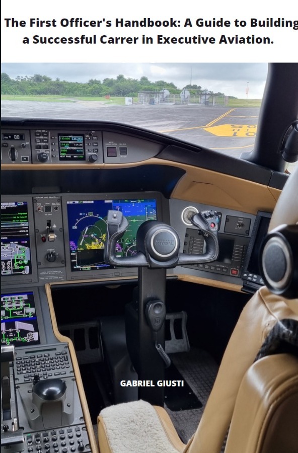 The First Officer's Handbook: A Guide to Becoming a Successful First ...