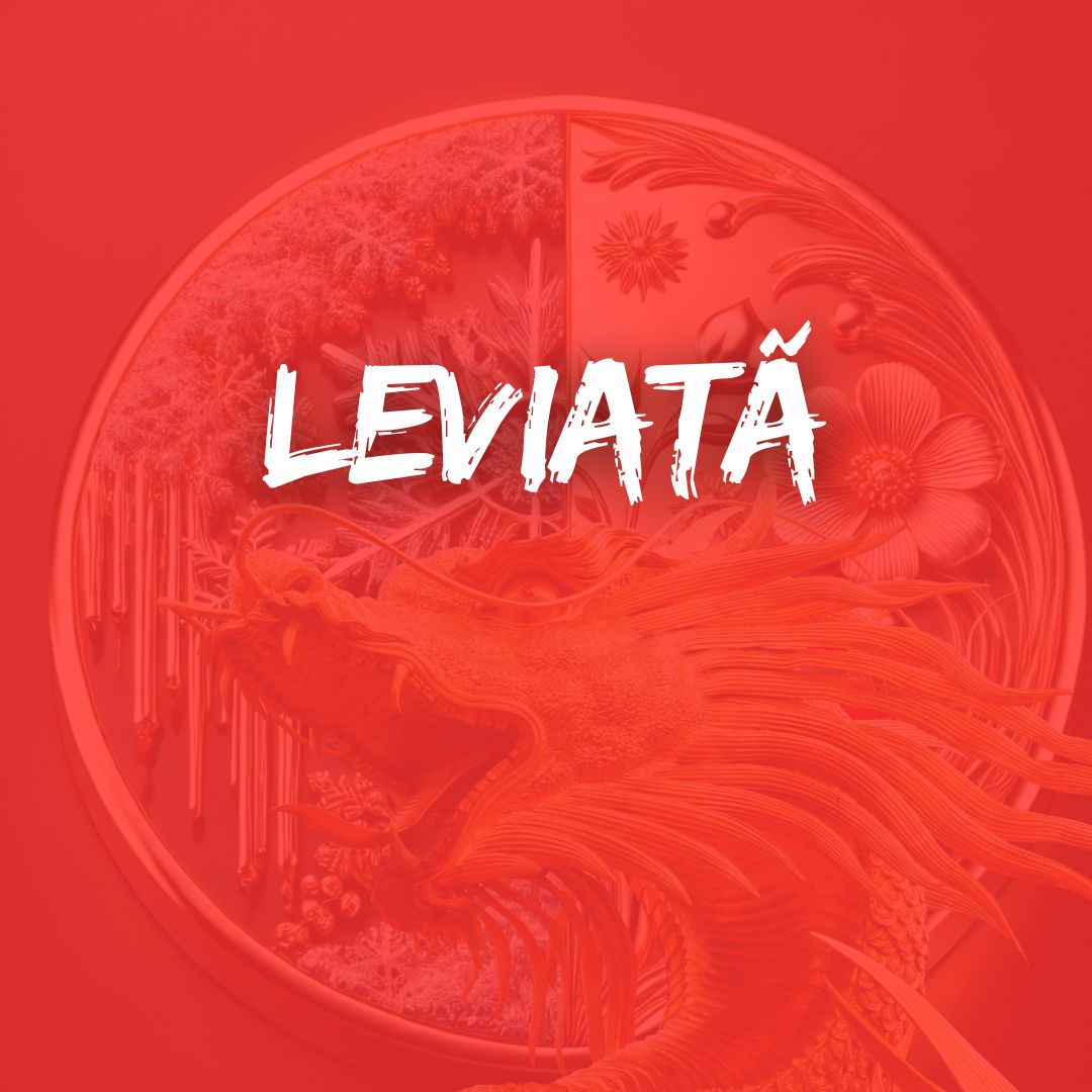 LEVIATÃ E SEUS ATAQUES NAS FINANÇAS