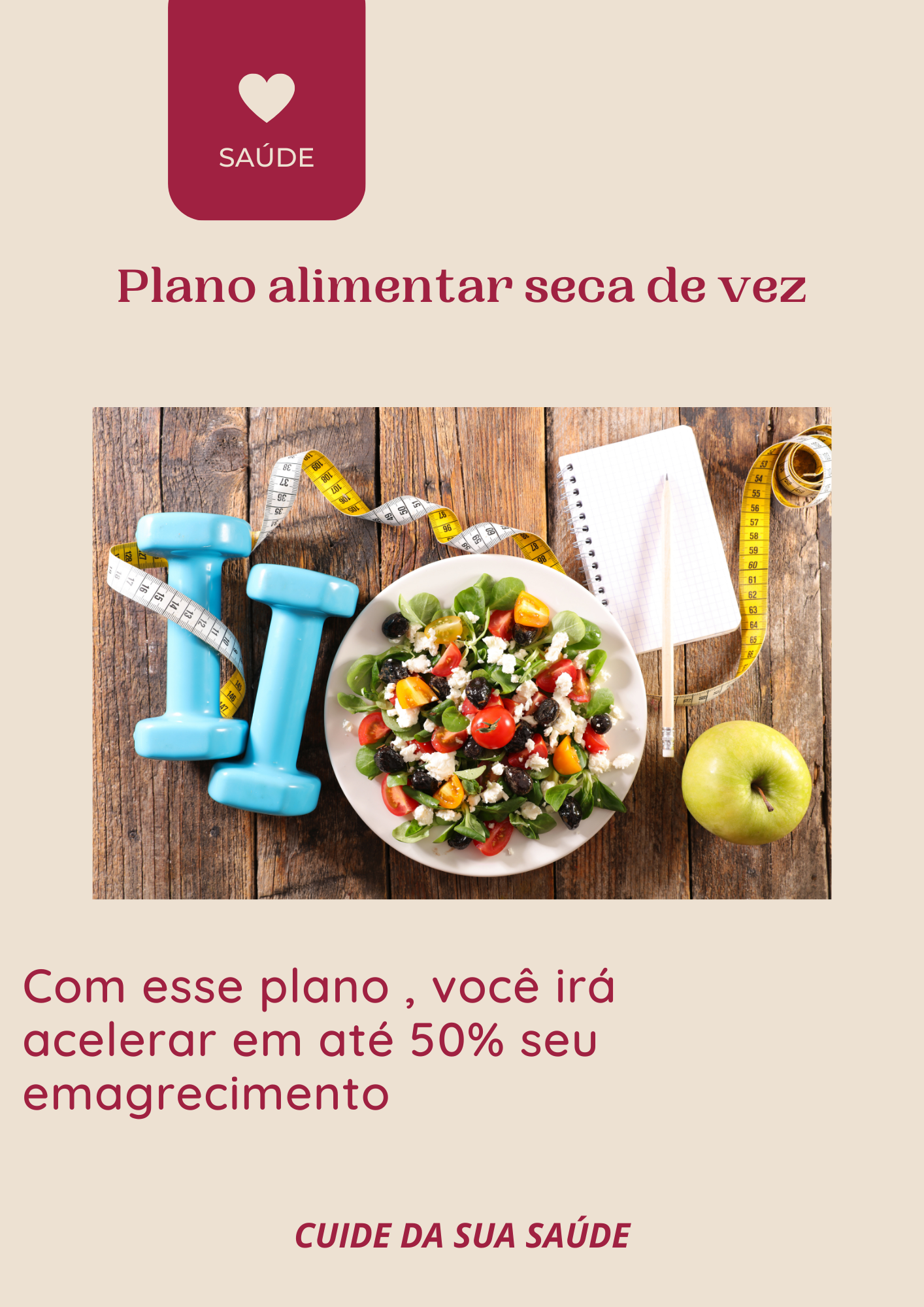 plan de comida seca rapida - aldemir gomes de souza junior | Hotmart