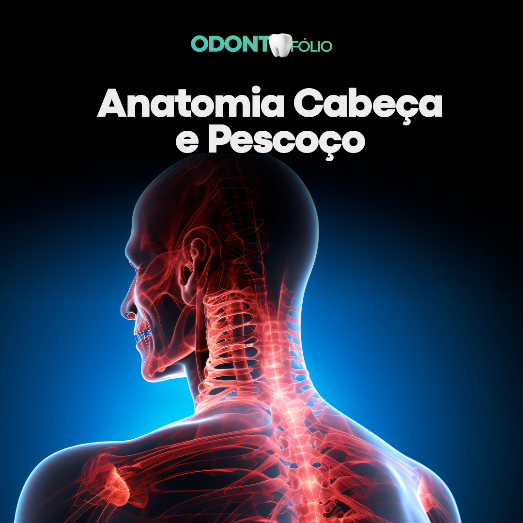 Guia de Anatomia de Cabeça e Pescoço - David Souza | EXC® | Hotmart