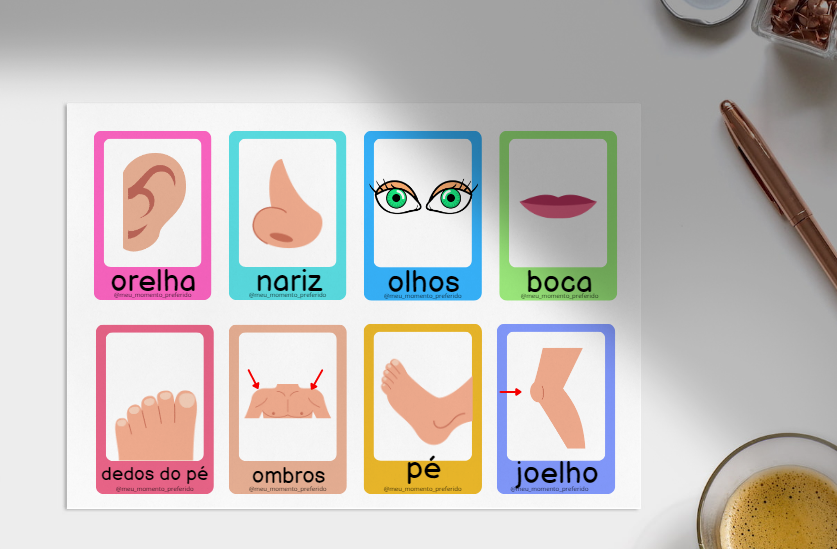 Flashcards das Partes do Corpo Humano - Meu momento preferido | Hot...