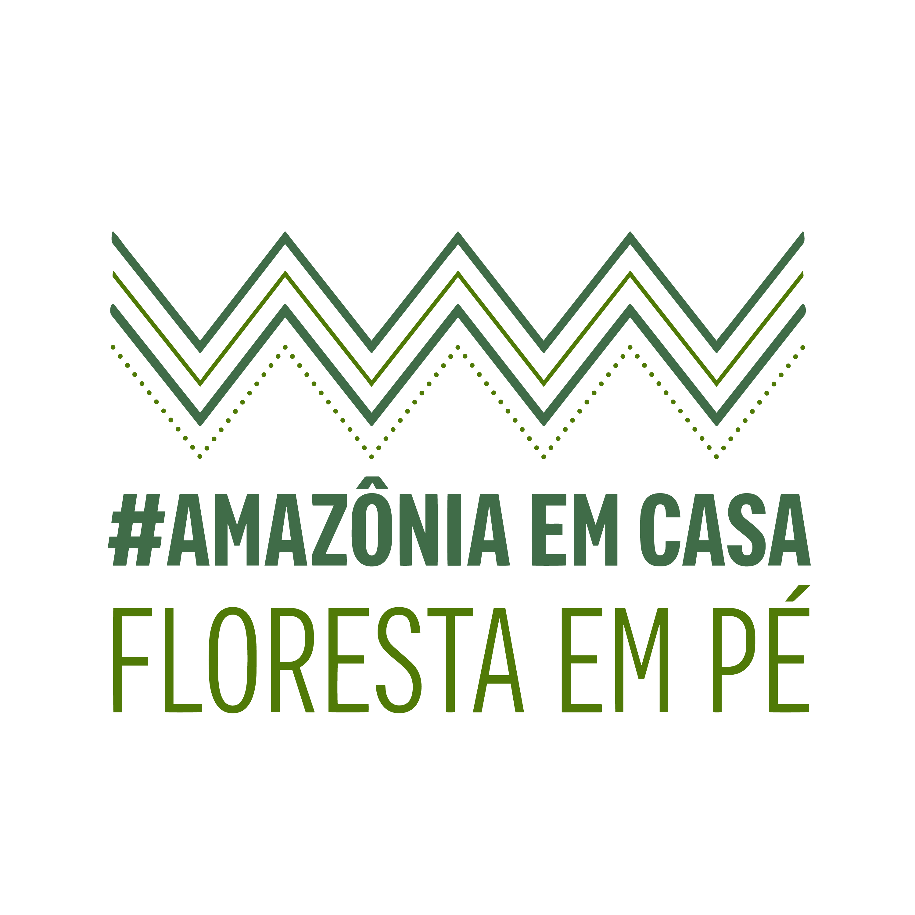Amazônia em Casa, Floresta em Pé