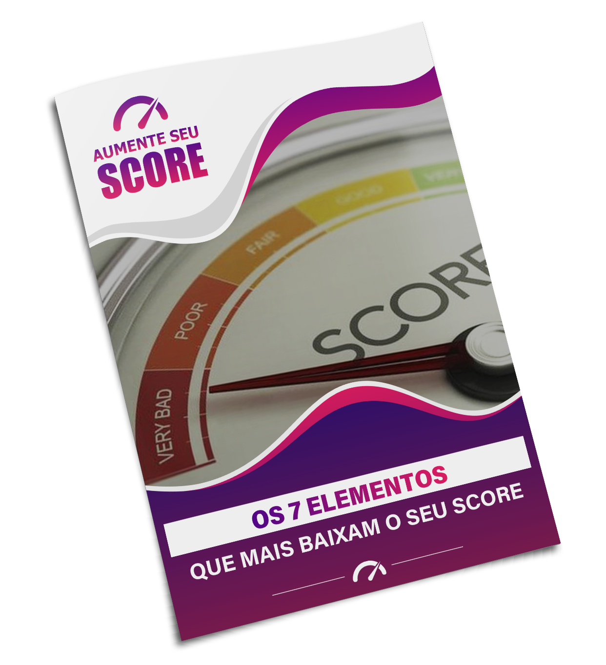 Os 7 Elementos que Mais Baixam o Score - Leandro oliveira | Hotmart