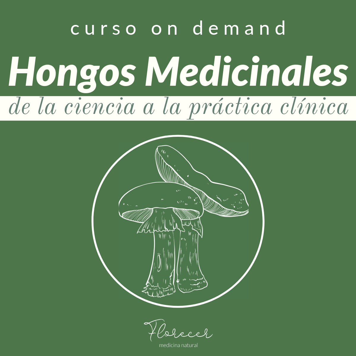 Hongos Medicinales: de la Ciencia a la Práctica Clínica - Flor Fasa...