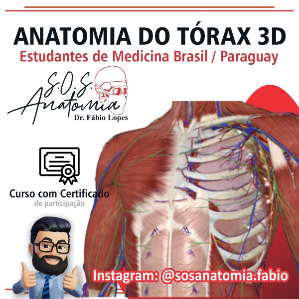 ANATOMIA DO TÓRAX 3D - Fábio Ferreira Lopes | Hotmart