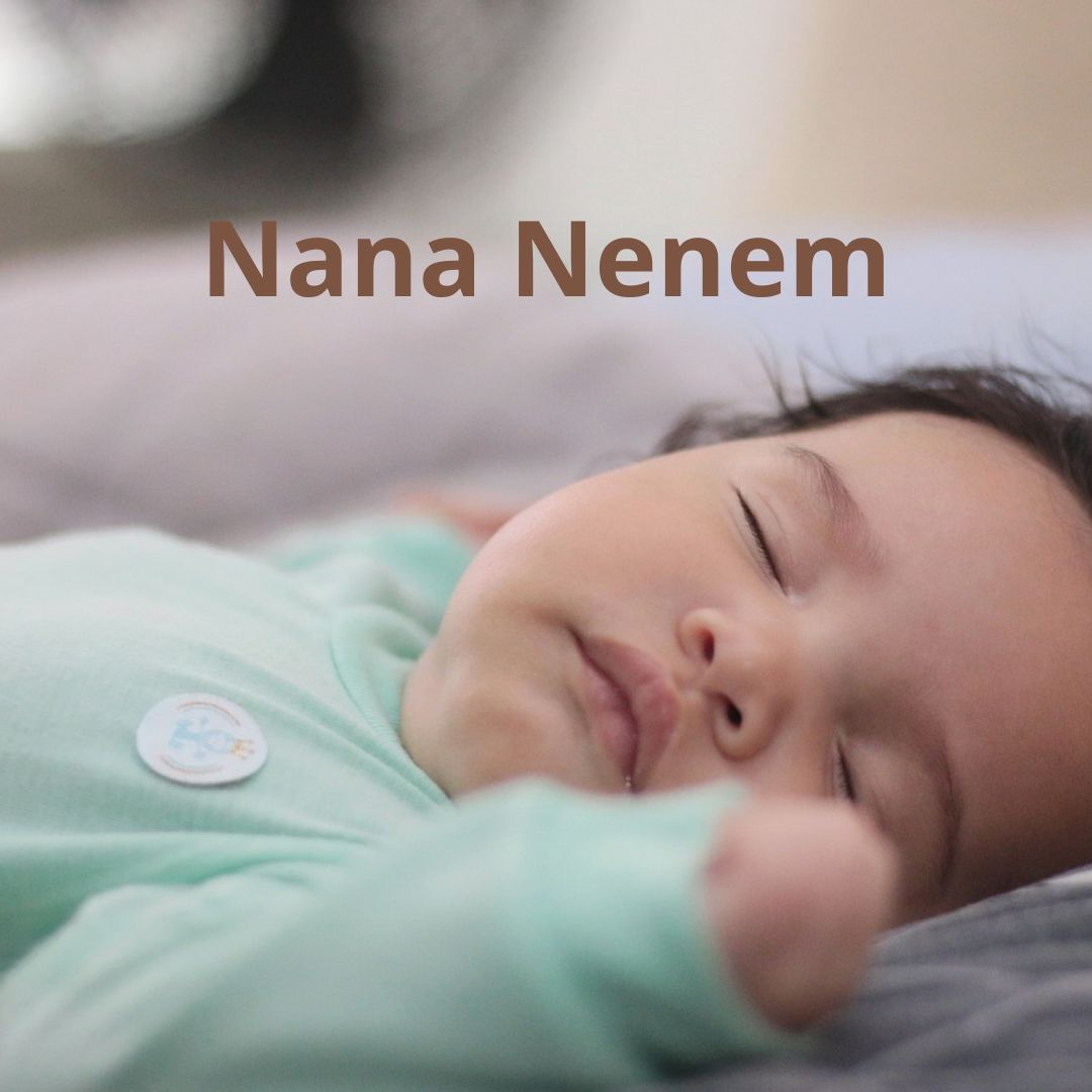 nana bebe - Marcio Santos | Hotmart