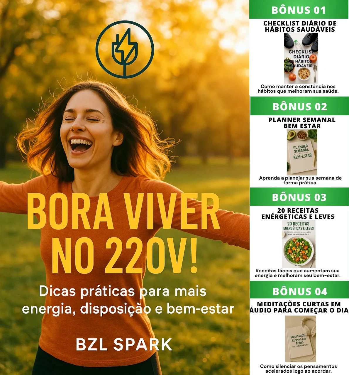 SUPER OFERTA Bora Viver no 220V!