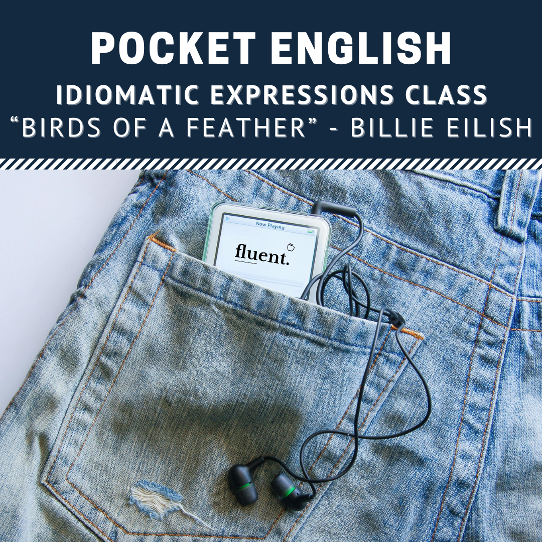 Pocket English - "Birds of a Feather" - Billie Eilish