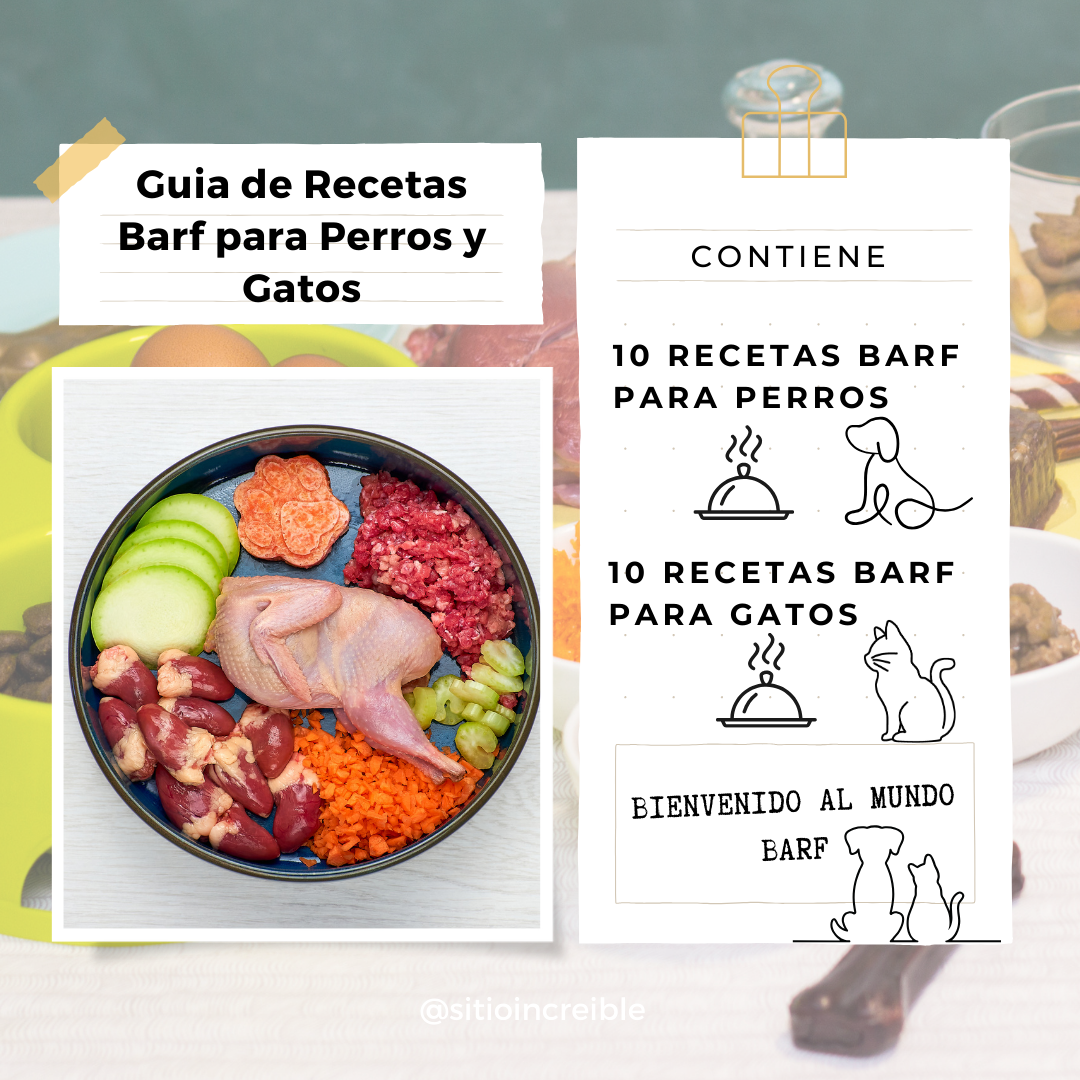Guia para preparar Recetas Barf para Perros y Gatos - Paola Negrett...