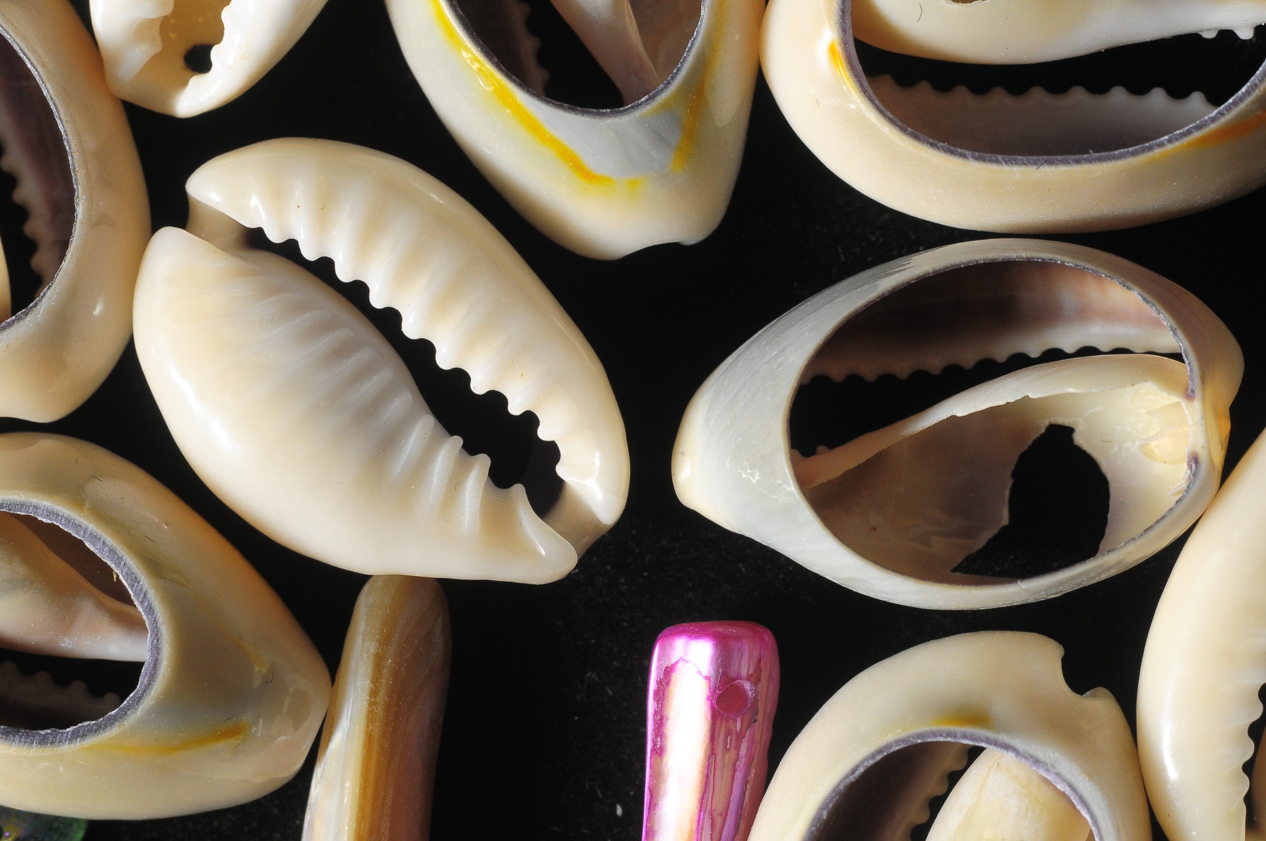 PART 1 Erindinlogun for Olorisa - Module 2 - Ogunda & Irosun