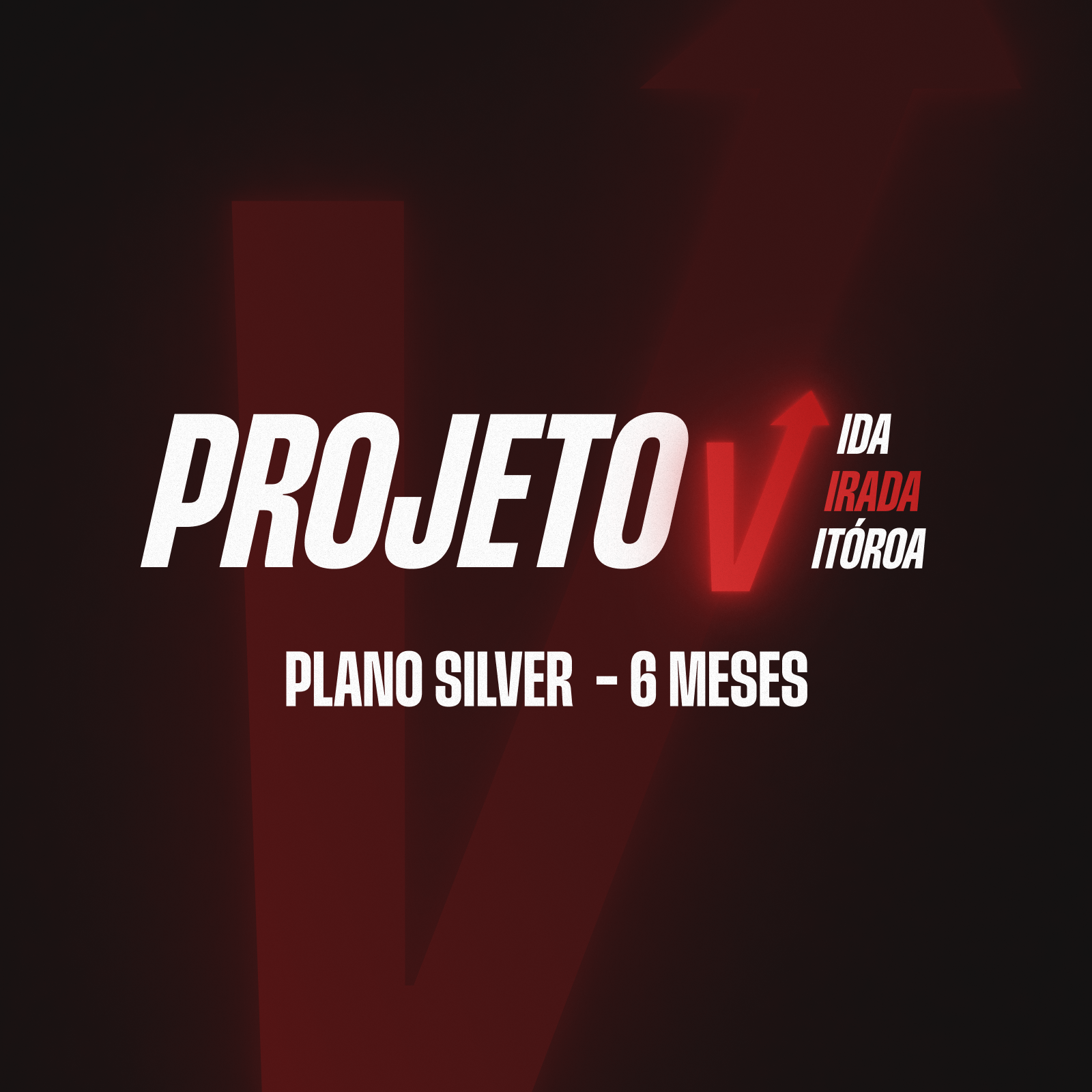Plano Silver - 6 meses de Consultoria Online - Thiago de Almeida Me...