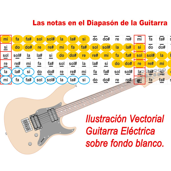 Diapason de la Guitarra, Vector