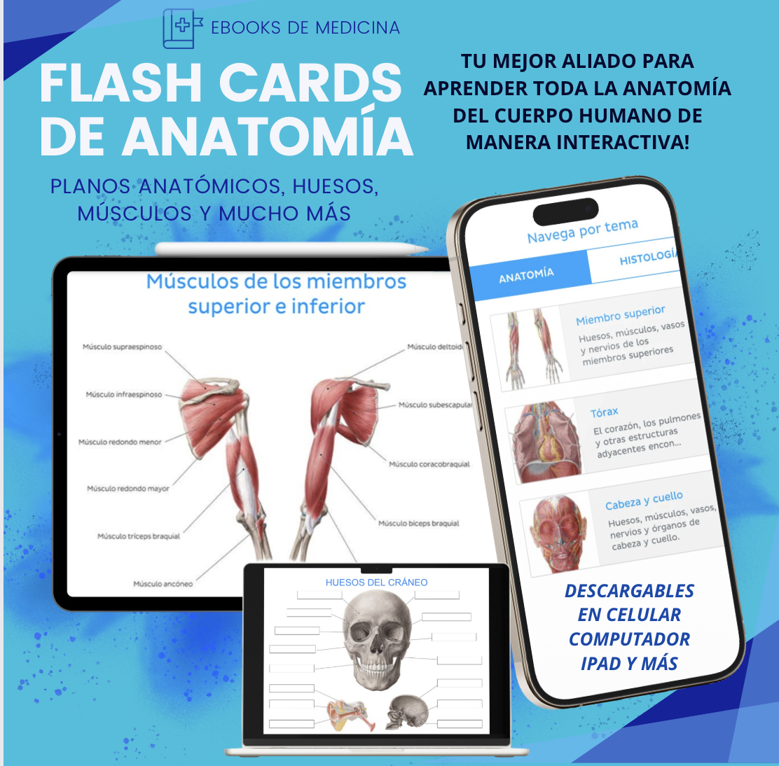 FLASH CARDS DE ANATOMÍA: Aprende Medicina de Manera Interactiva