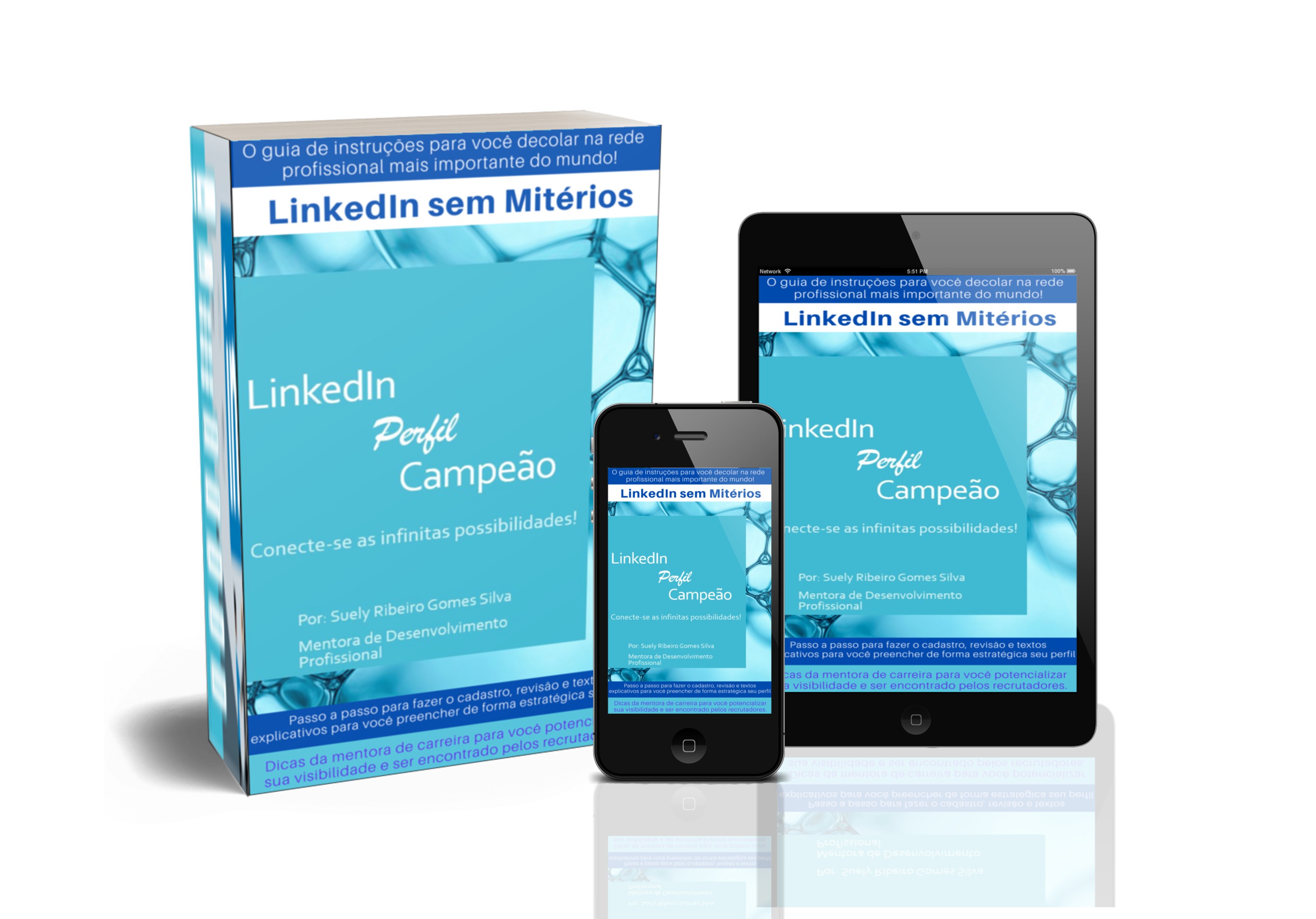 Linkedin perfil Campeão