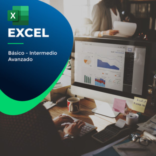 MS Excel Premium