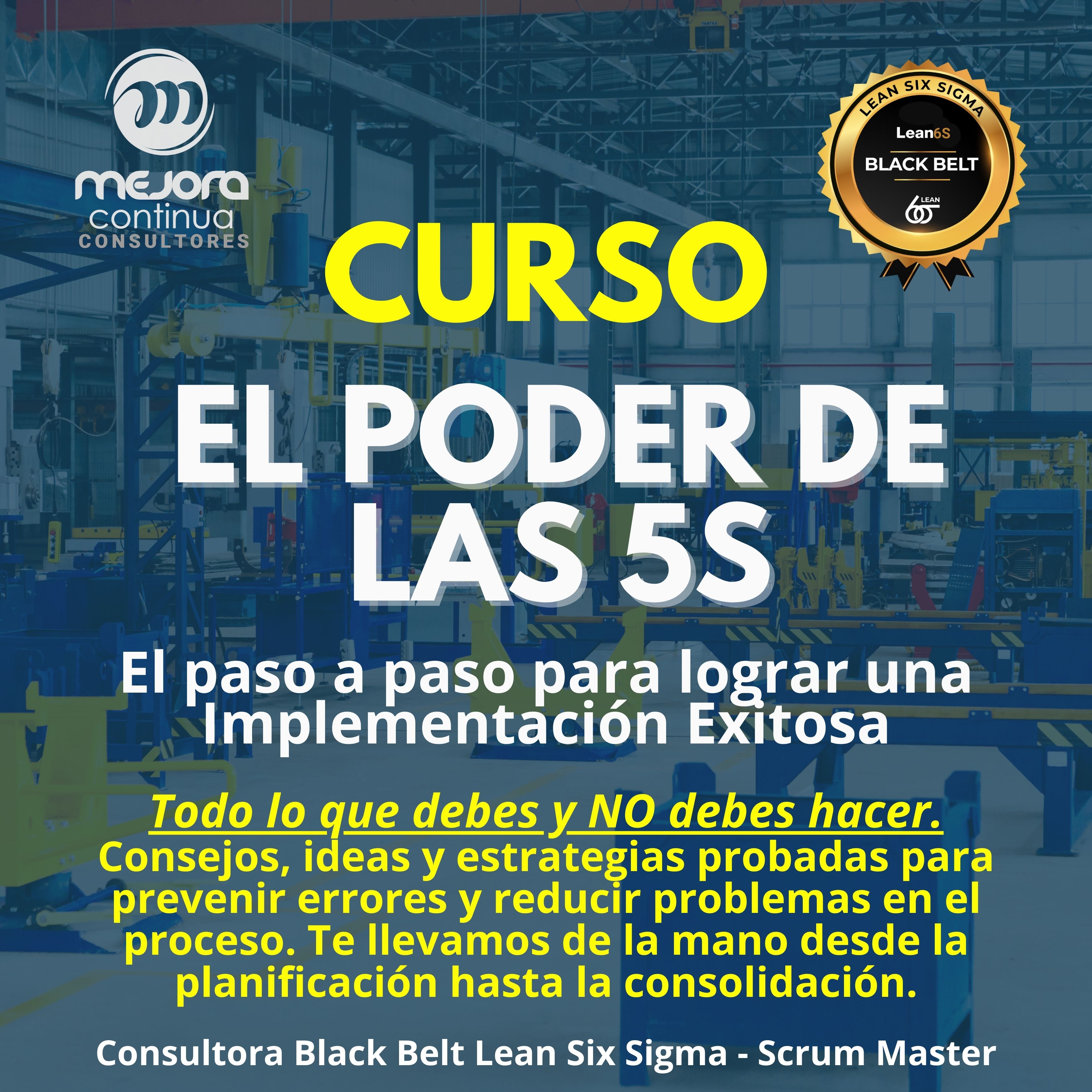 El poder de las 5S: Domina la Implementación Exitosa - Mejora Conti...