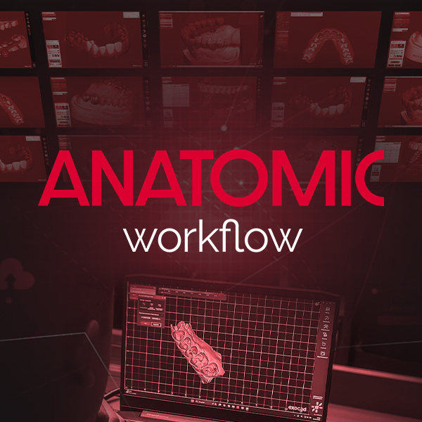 Anatomic Workflow - Exocad