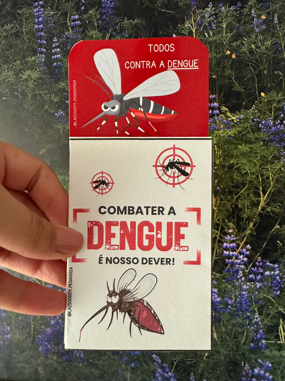 Tudo sobre a dengue - Livreto Informativo Interativo - Laís Godoy