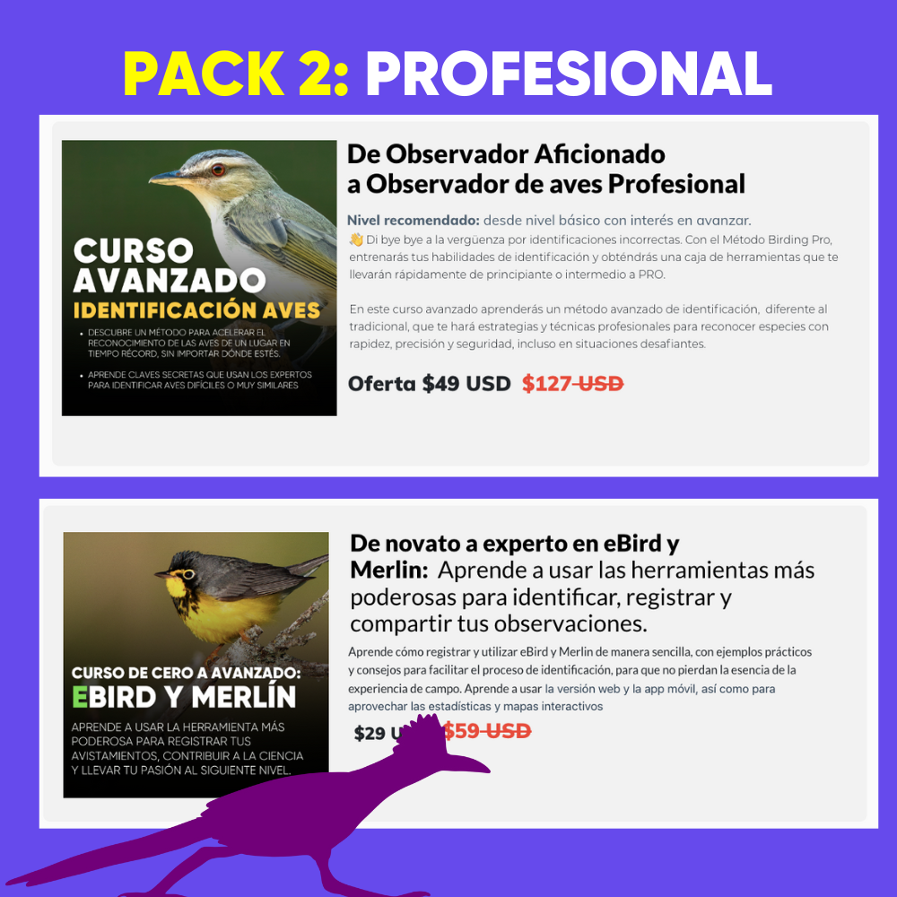 Pack 2: CURSO AVANZADO DE IDENTIFICACIÓN + CURSO DE EBIRD