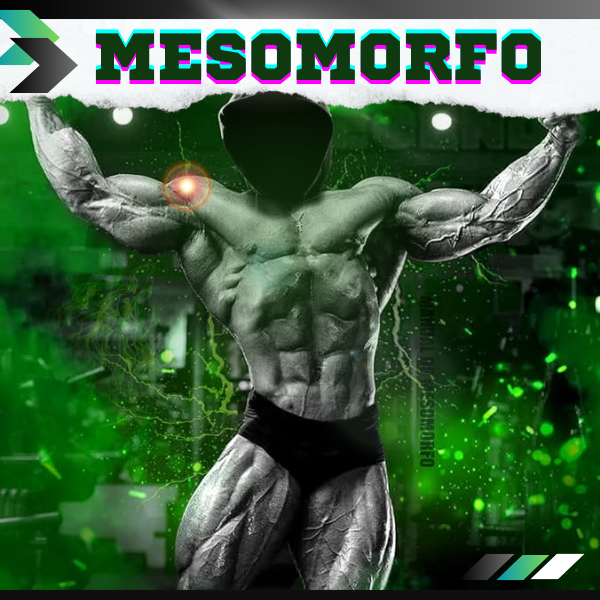 GUÍA FITNESS MESOMORFO