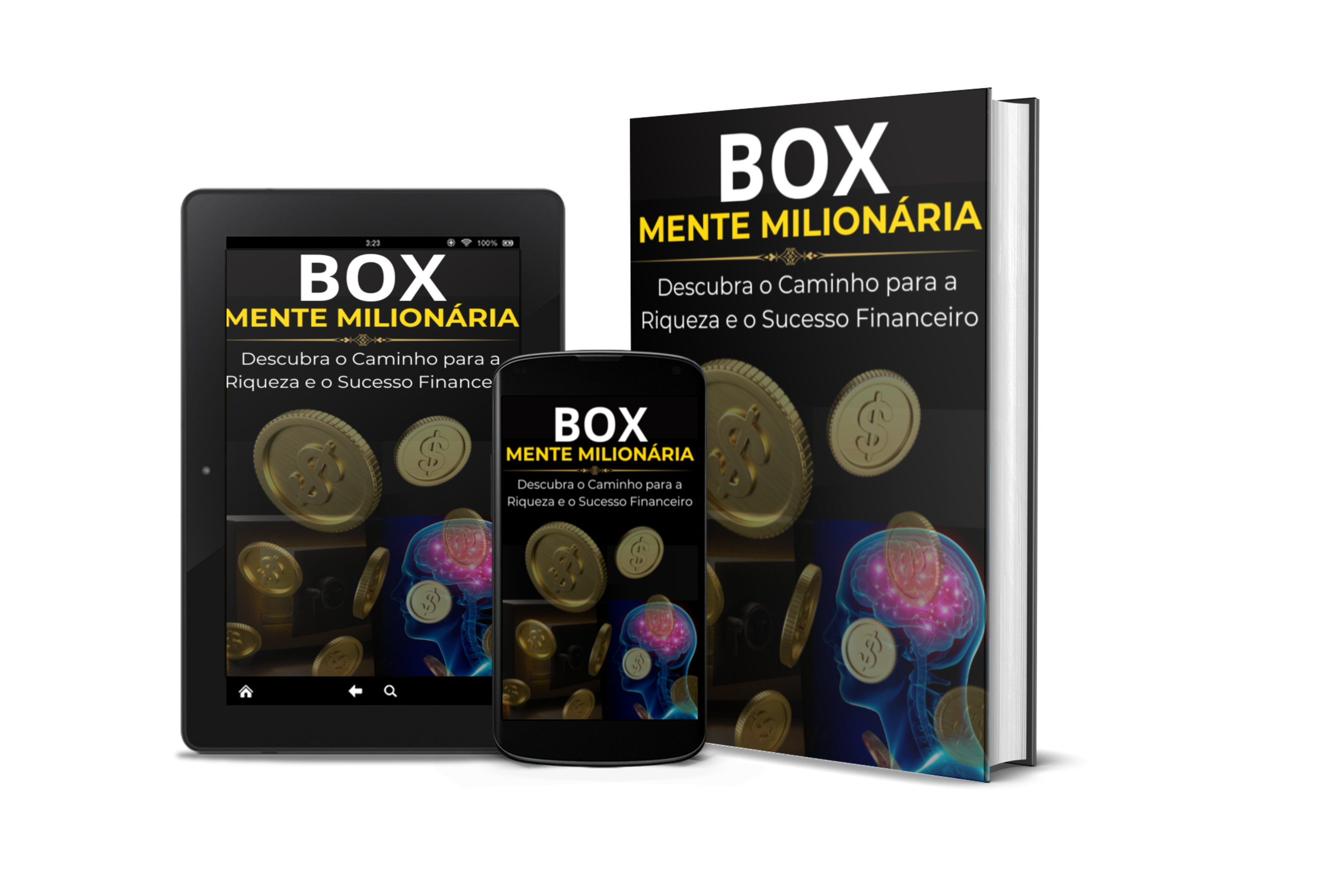 BOX MENTE MILIONÁRIA