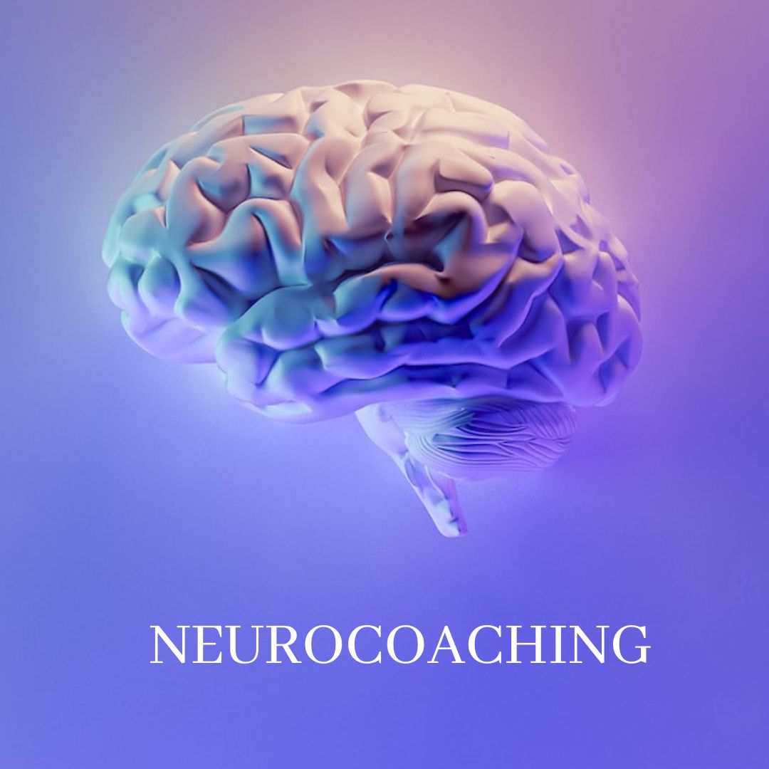 NEUROCOACHING - Blanca Mery Sanchez | Hotmart