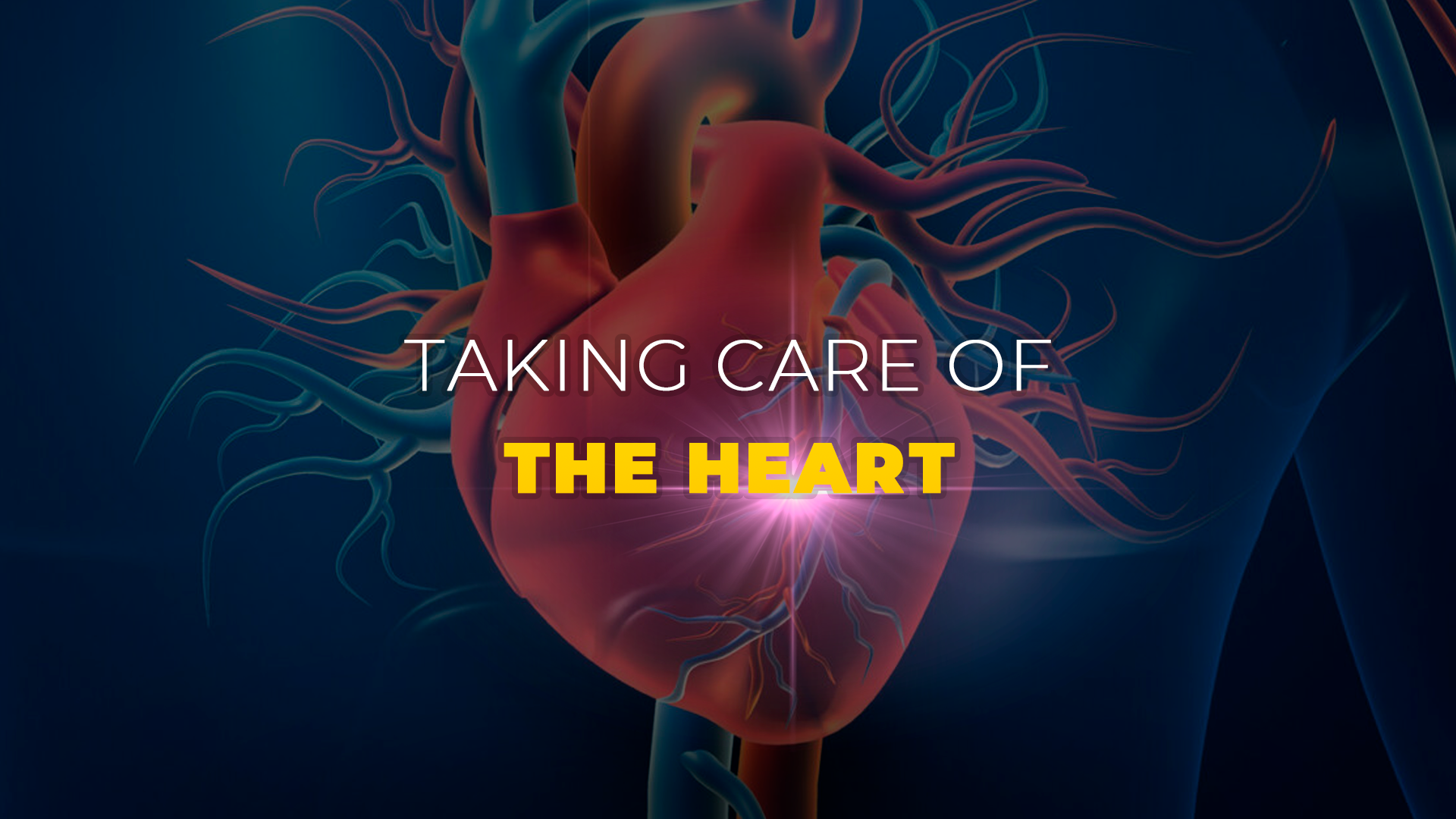 Taking care of the heart: reducing the risk of cardiovascular disea...