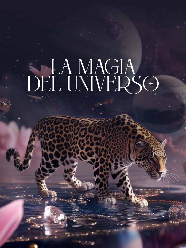 LA MAGIA DEL UNIVERSO - Grupo Mujer Holística S.A. | Hotmart