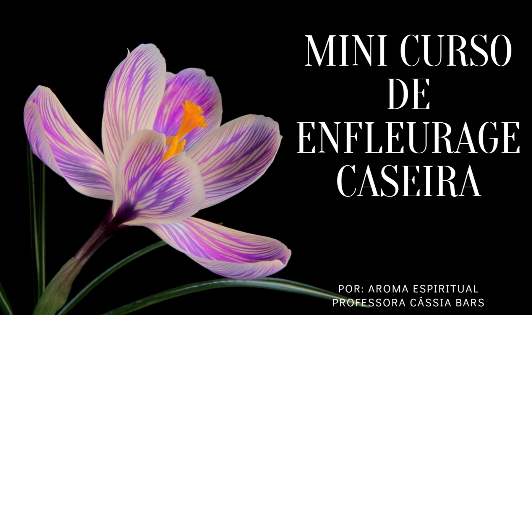 Mini Curso de Enfleurage