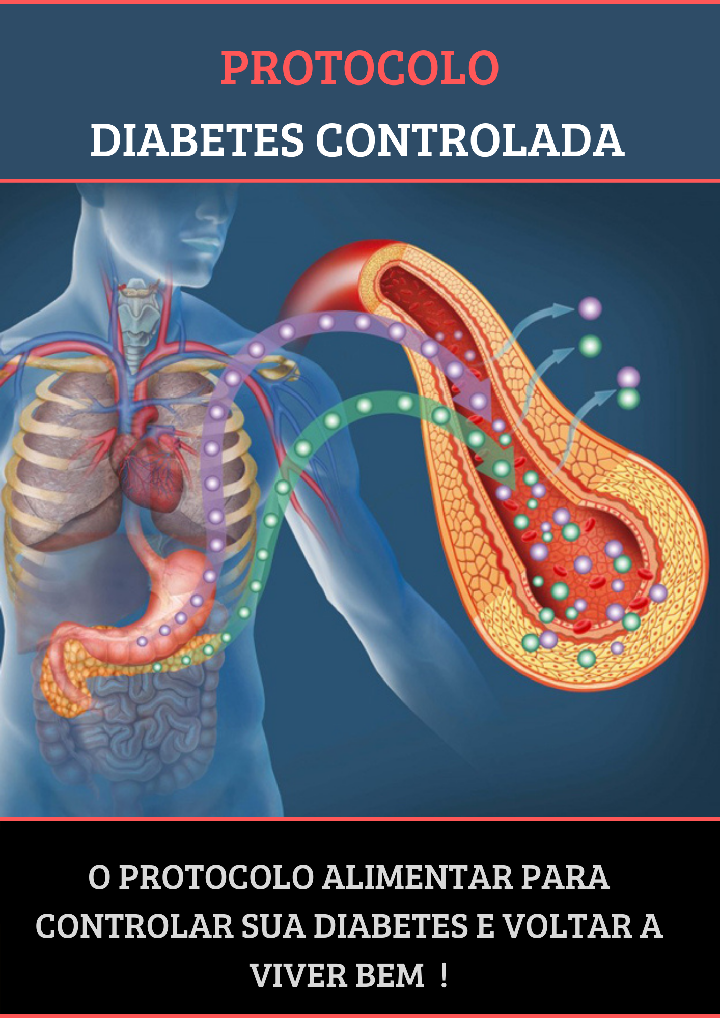 Protocolo Diabetes Controlada - Henrique Xavier | Hotmart