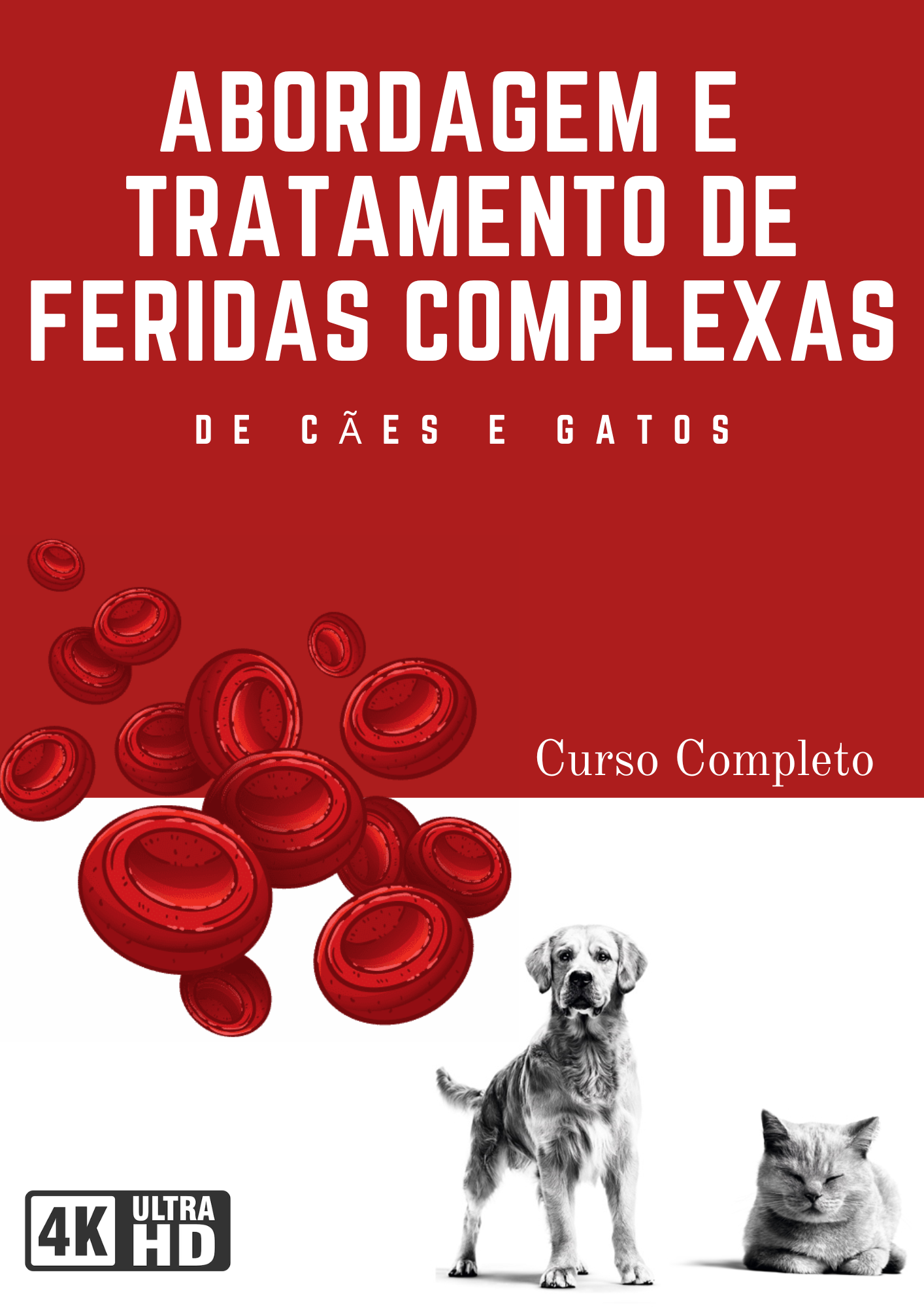 Abordagem e tratamento de feridas complexas