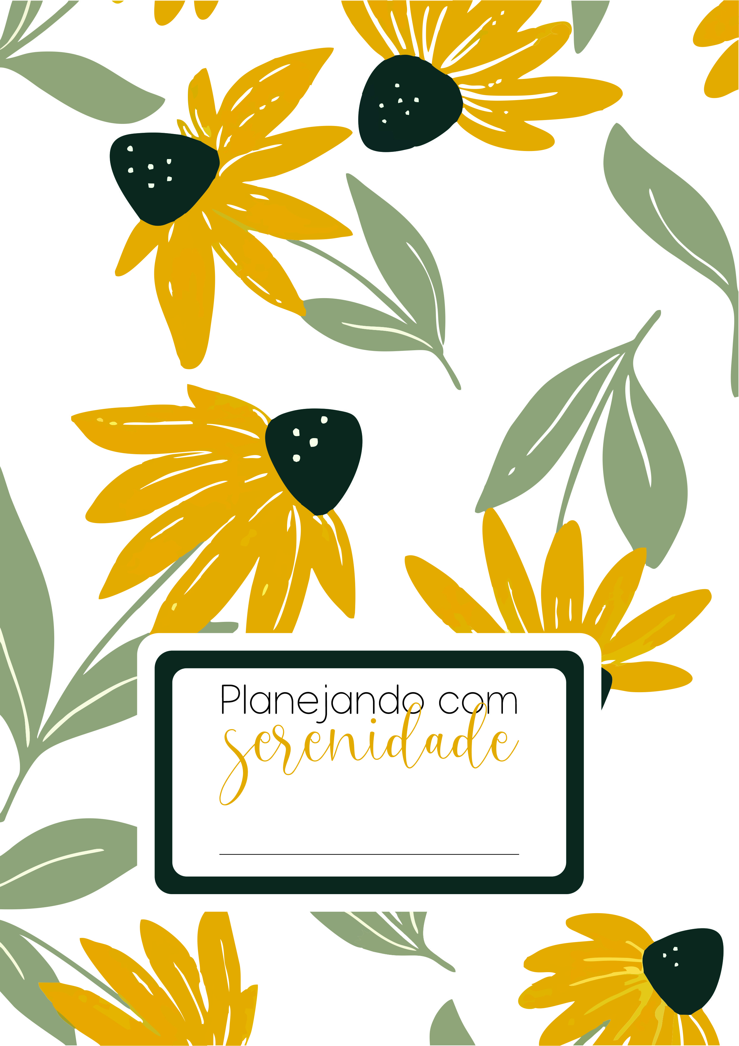 Planejando com Serenidade 2023 - Ingrid Brandt | Hotmart