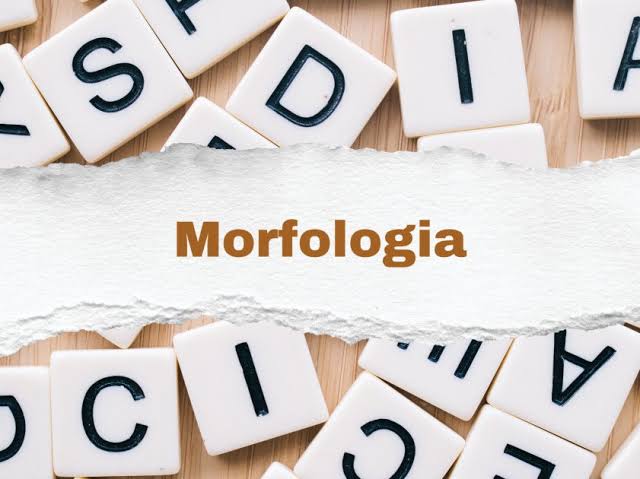 Morfologia/Classes gramaticais - Thais de Oliveira Ribeiro | Hotmart