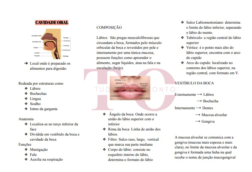 Resumo cavidade bucal - Anatomia - Poliana Delalibera Novaes Olivei...