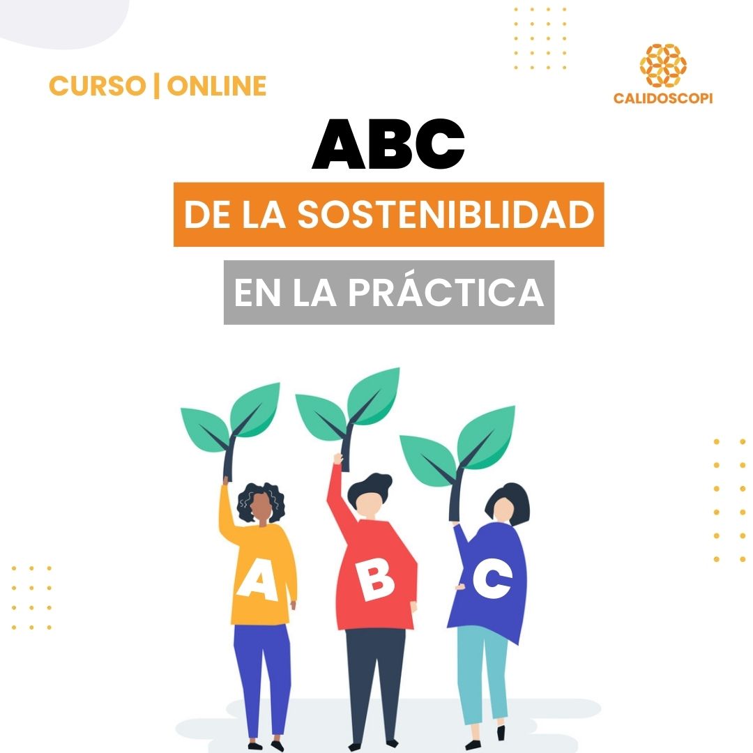 ABC DE LA SOSTENIBILIDAD EN LA PRÁCTICA - Calidoscopi consultoria ...