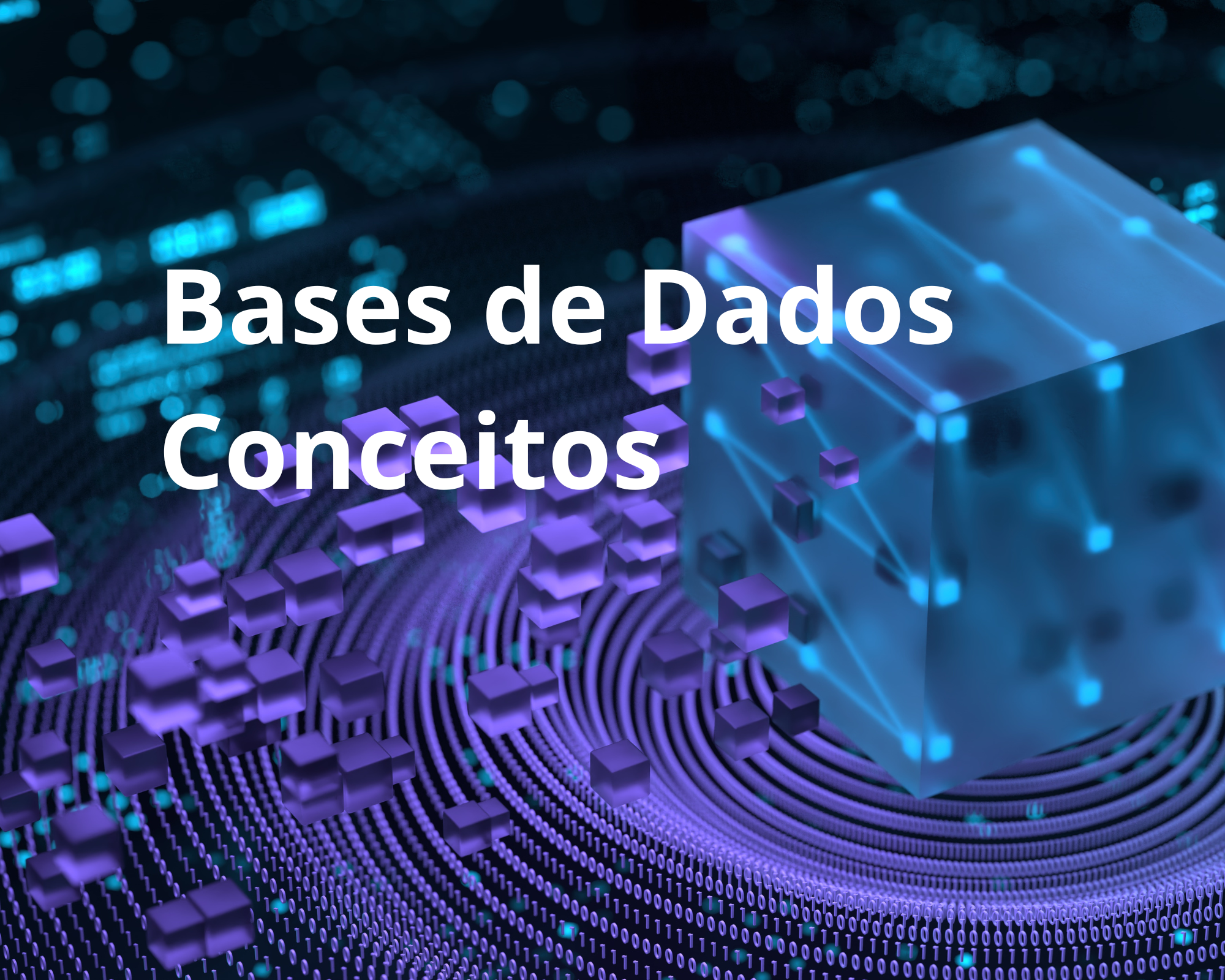 Bases de Dados - Conceitos